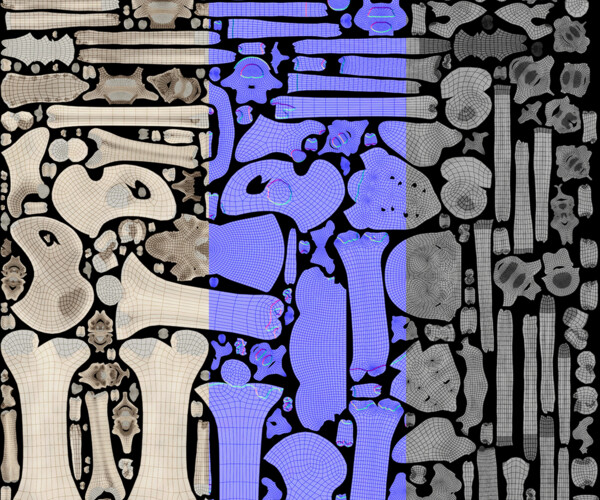 ArtStation - Female Ecorche - Skin Musculature Skeleton | Game Assets