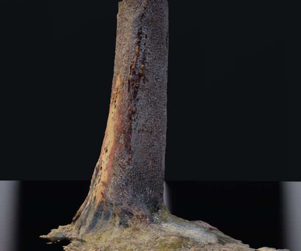 ArtStation - Tree Base - 3D Assets for Concept Art | Resources