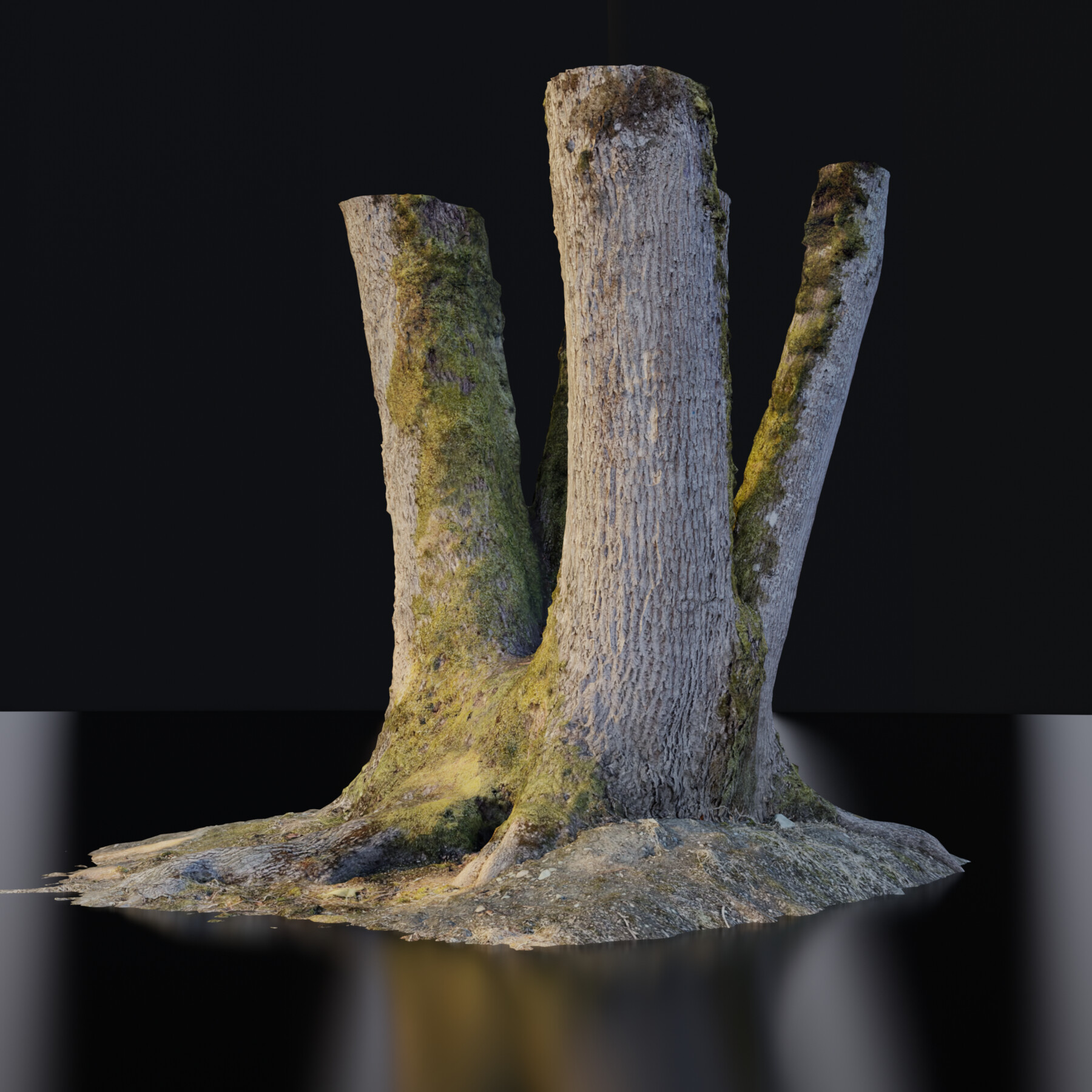 ArtStation - Tree Base - 3D Assets for Concept Art | Resources