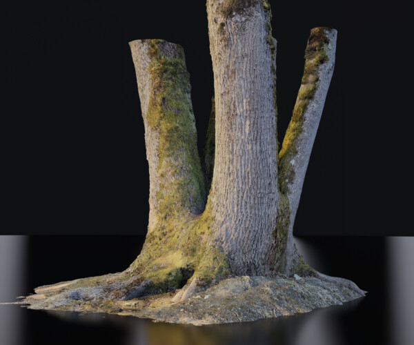 ArtStation - Tree Base - 3D Assets for Concept Art | Resources