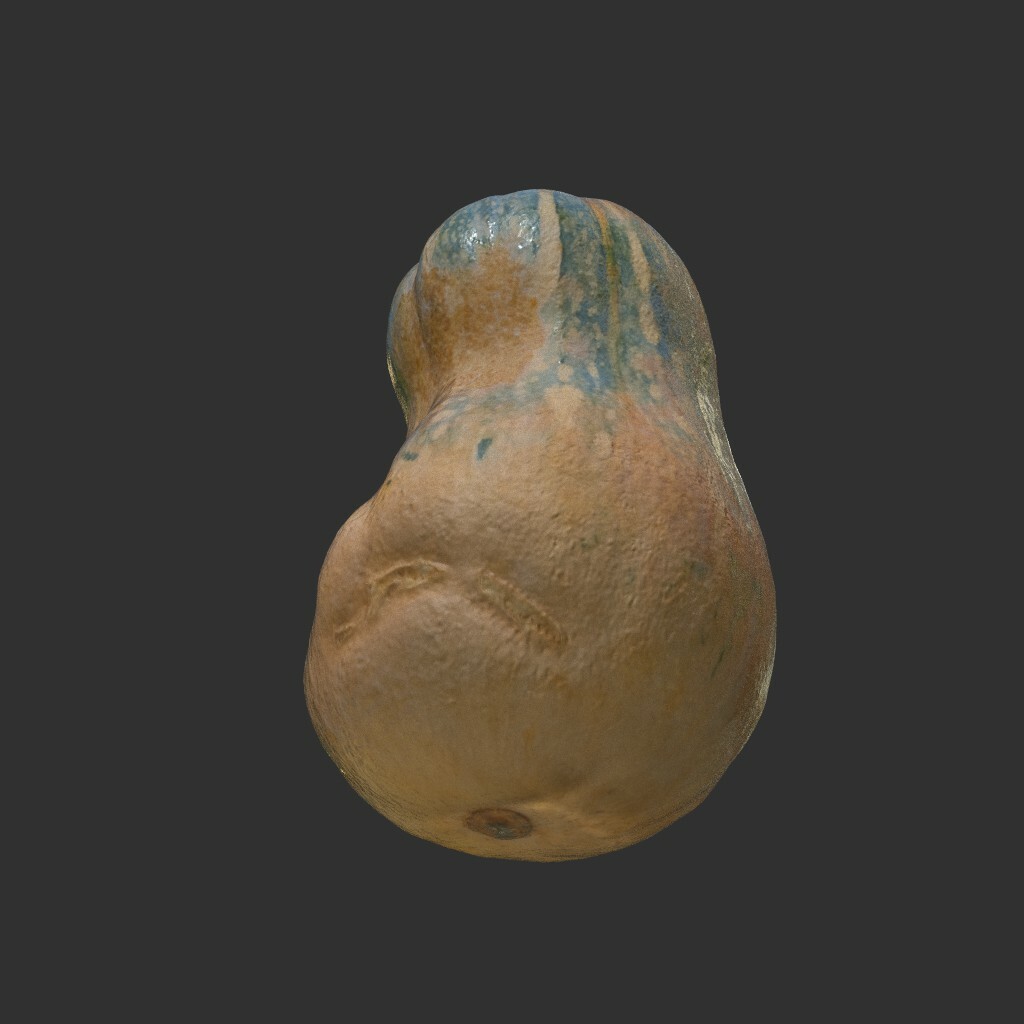 ArtStation - Low poly High poly Gourd 220327 - Photogrammetry | Game Assets