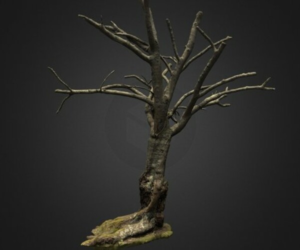 ArtStation - 3D cherry tree trunk (photogrammetry) | Resources