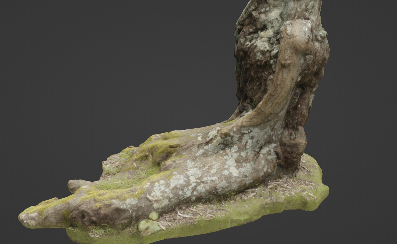 ArtStation - 3D cherry tree trunk (photogrammetry) | Resources
