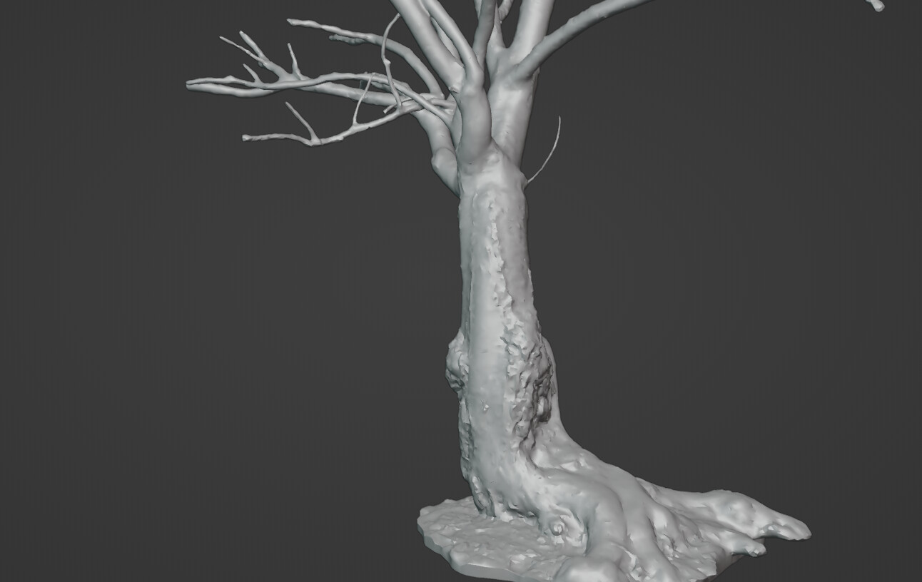 ArtStation - 3D cherry tree trunk (photogrammetry) | Resources
