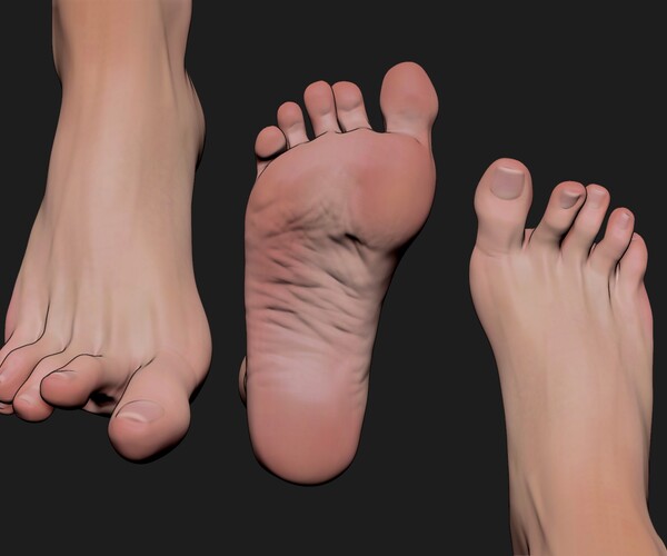 ArtStation - Feet ZTL + 3 Gesture Layer | Resources