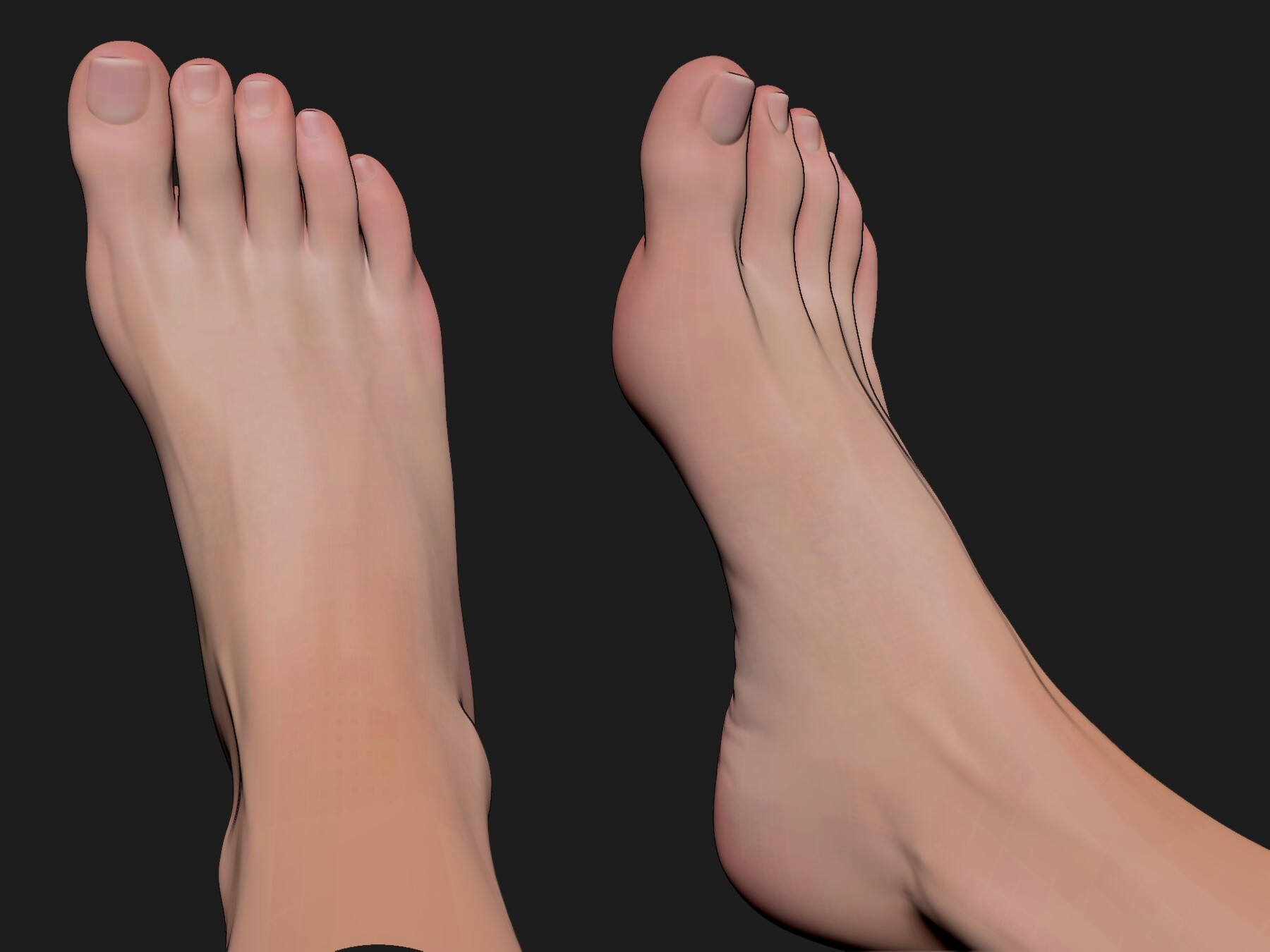 ArtStation - Feet ZTL + 3 Gesture Layer | Resources