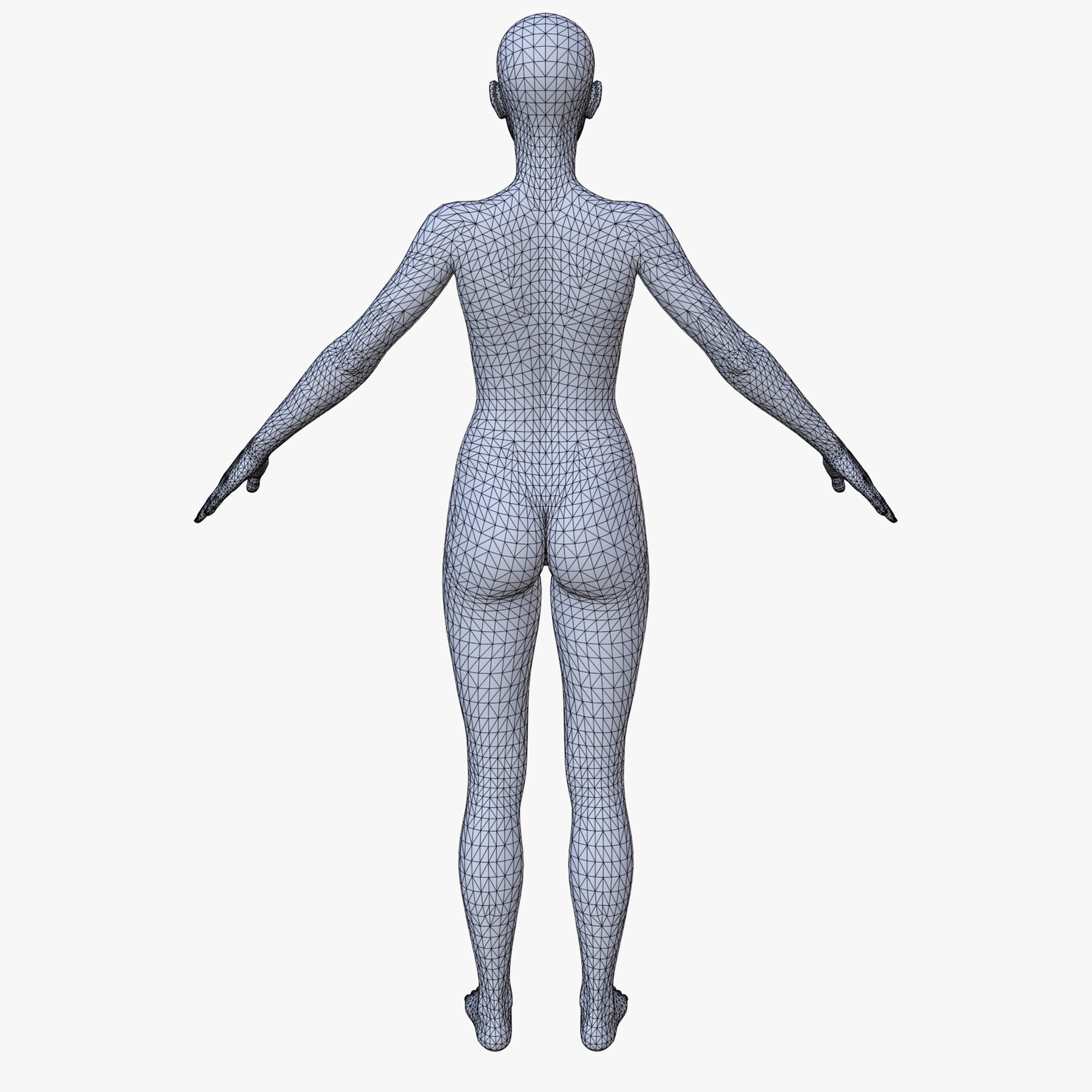 ArtStation - 30 FEMALE BASE MESH 1-30 | Resources