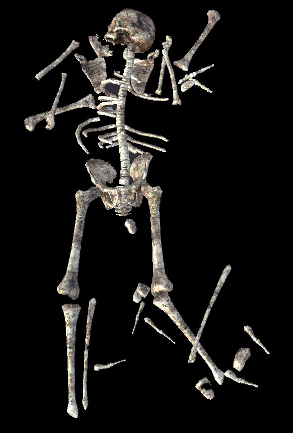 ArtStation - Dead Skeleton - PBR - Textured | Game Assets