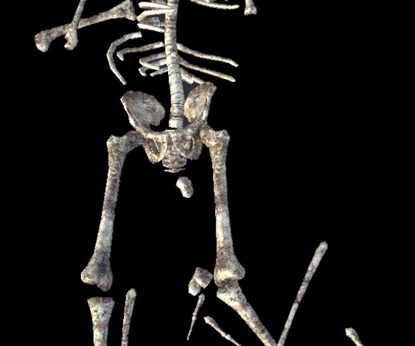 ArtStation - Dead Skeleton - PBR - Textured | Game Assets