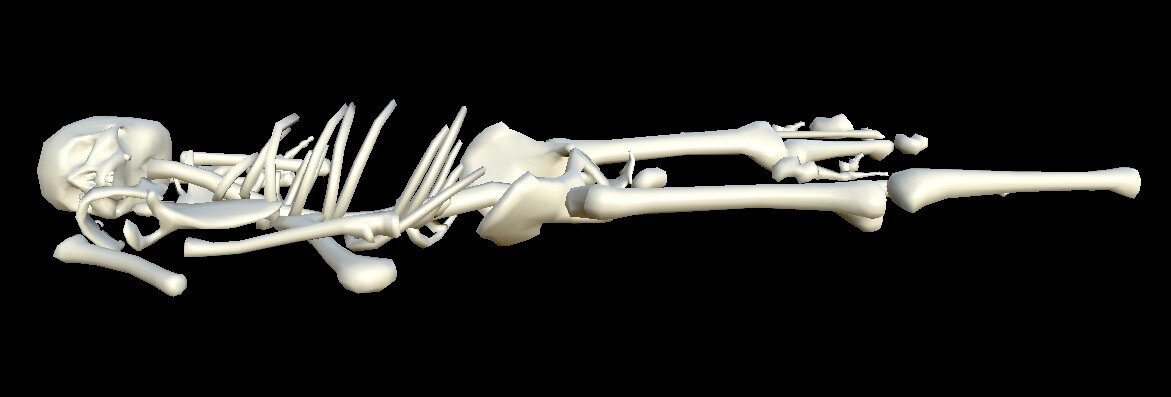 ArtStation - Dead Skeleton | Game Assets