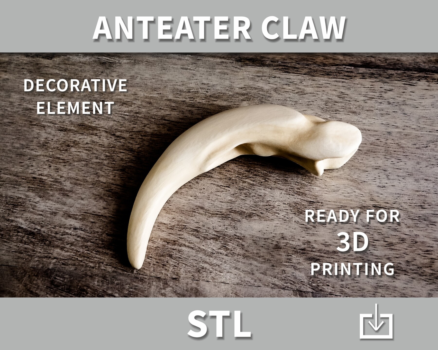 ArtStation - 3D model Anteater Claw art decor replica claw animal claw ...