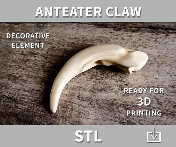ArtStation - 3D model Anteater Claw art decor replica claw animal claw ...