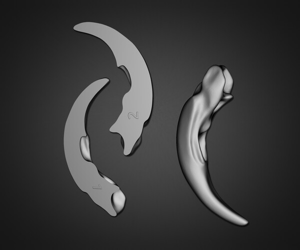 ArtStation - 3D model Anteater Claw art decor replica claw animal claw ...