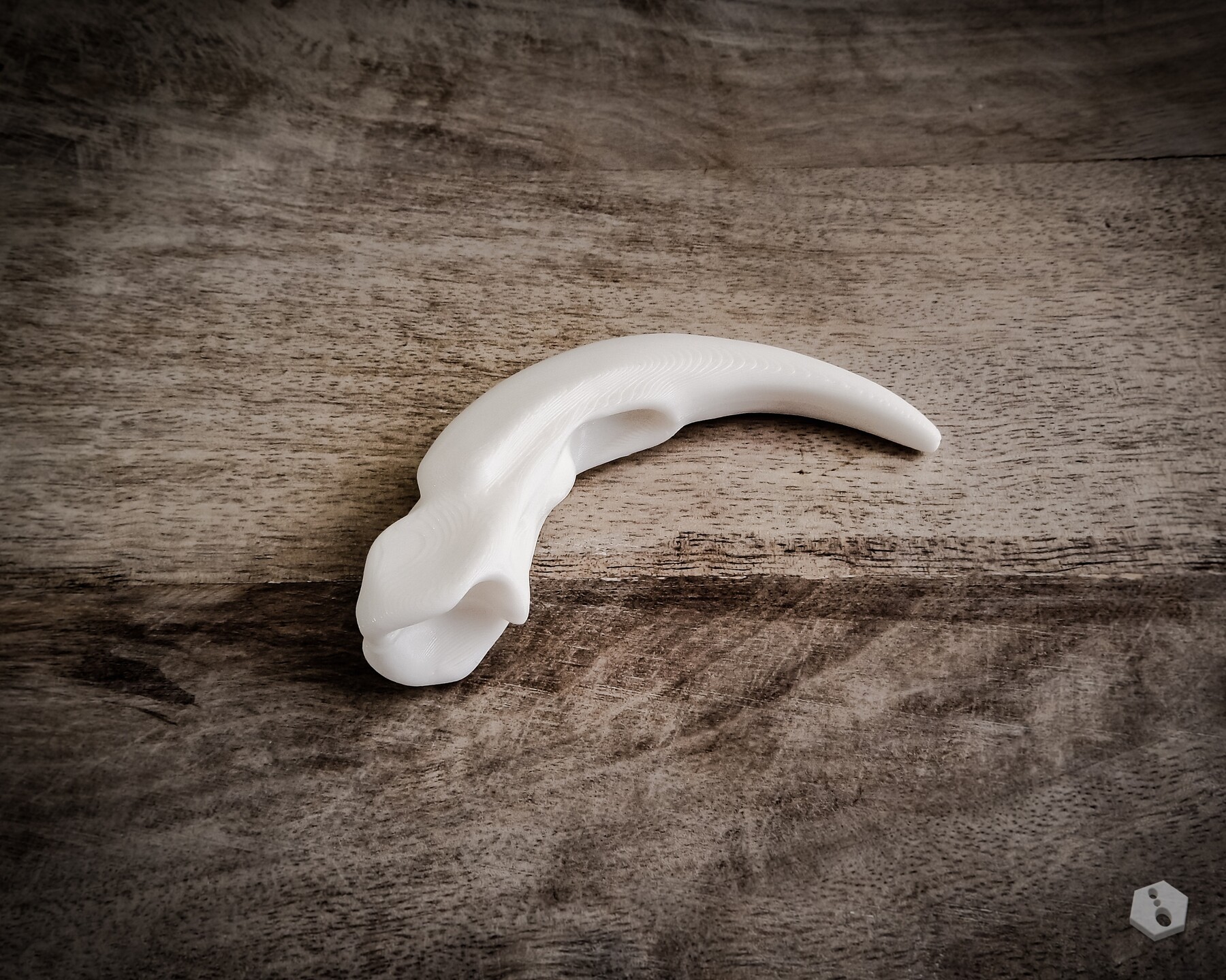 ArtStation - 3D model Anteater Claw art decor replica claw animal claw ...