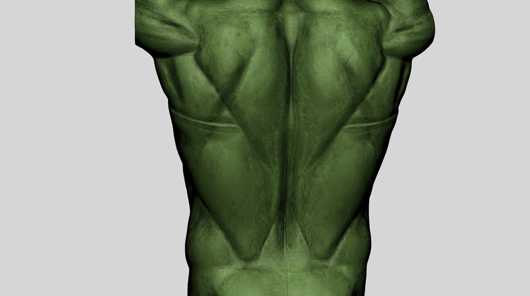 ArtStation - Back Anatomy | Resources