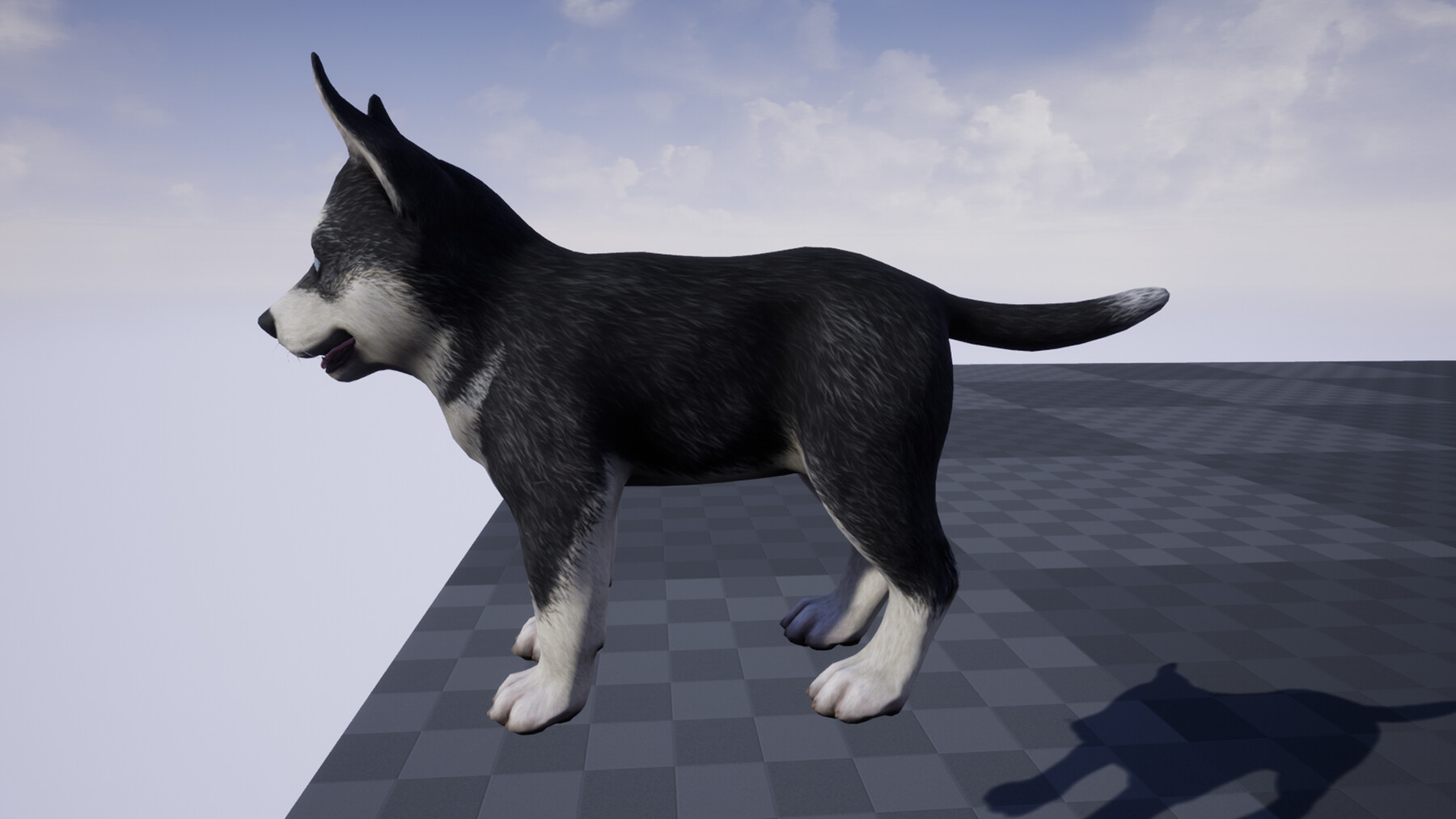 ArtStation - Puppy - Husky | Game Assets