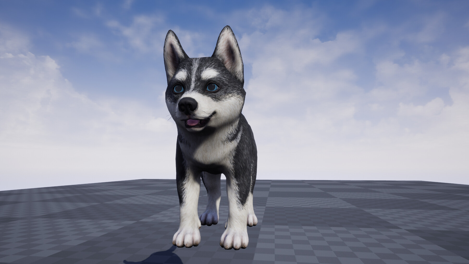 ArtStation - Puppy - Husky | Game Assets