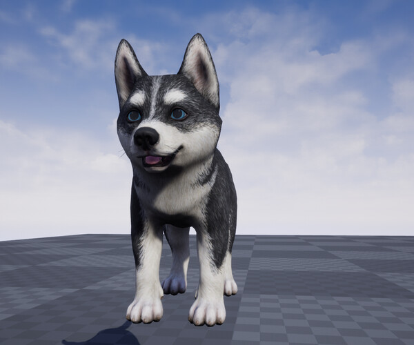 ArtStation - Puppy - Husky | Game Assets