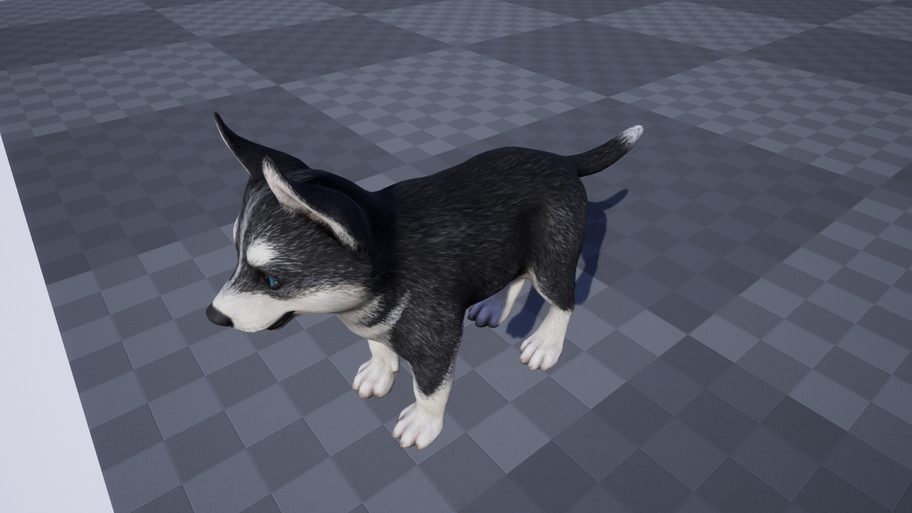 ArtStation - Puppy - Husky | Game Assets