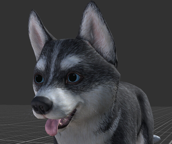 ArtStation - Puppy - Husky | Game Assets