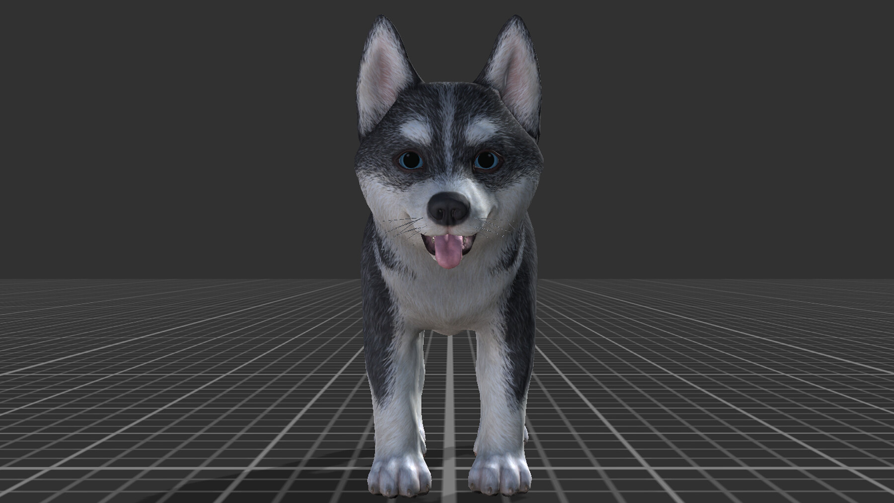 ArtStation - Puppy - Husky | Game Assets