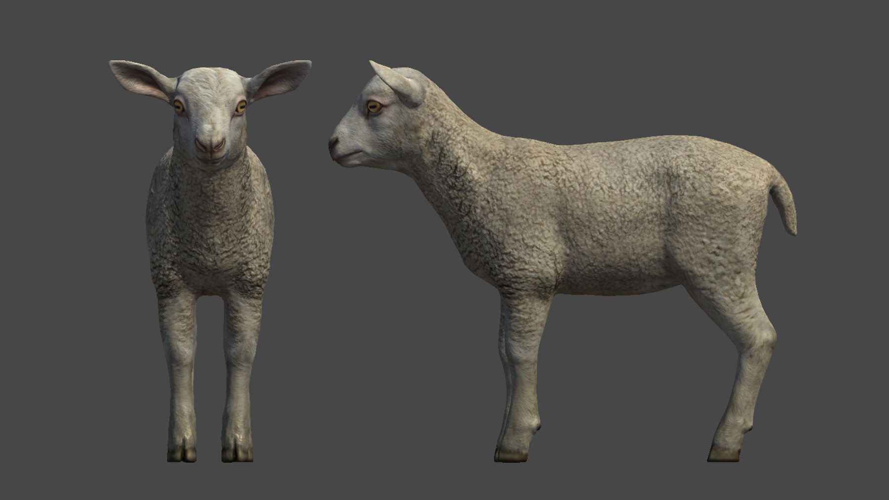 ArtStation - Lamb | Game Assets