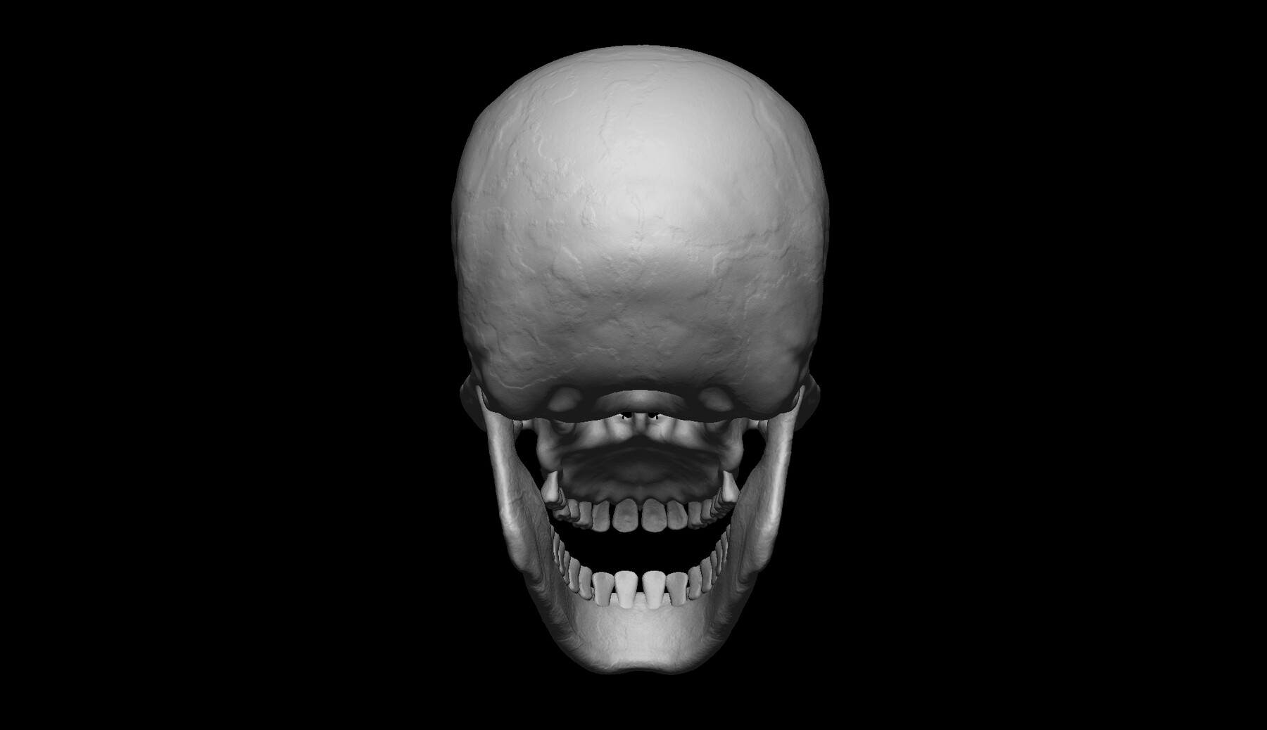 ArtStation - Human Male Skull | Resources