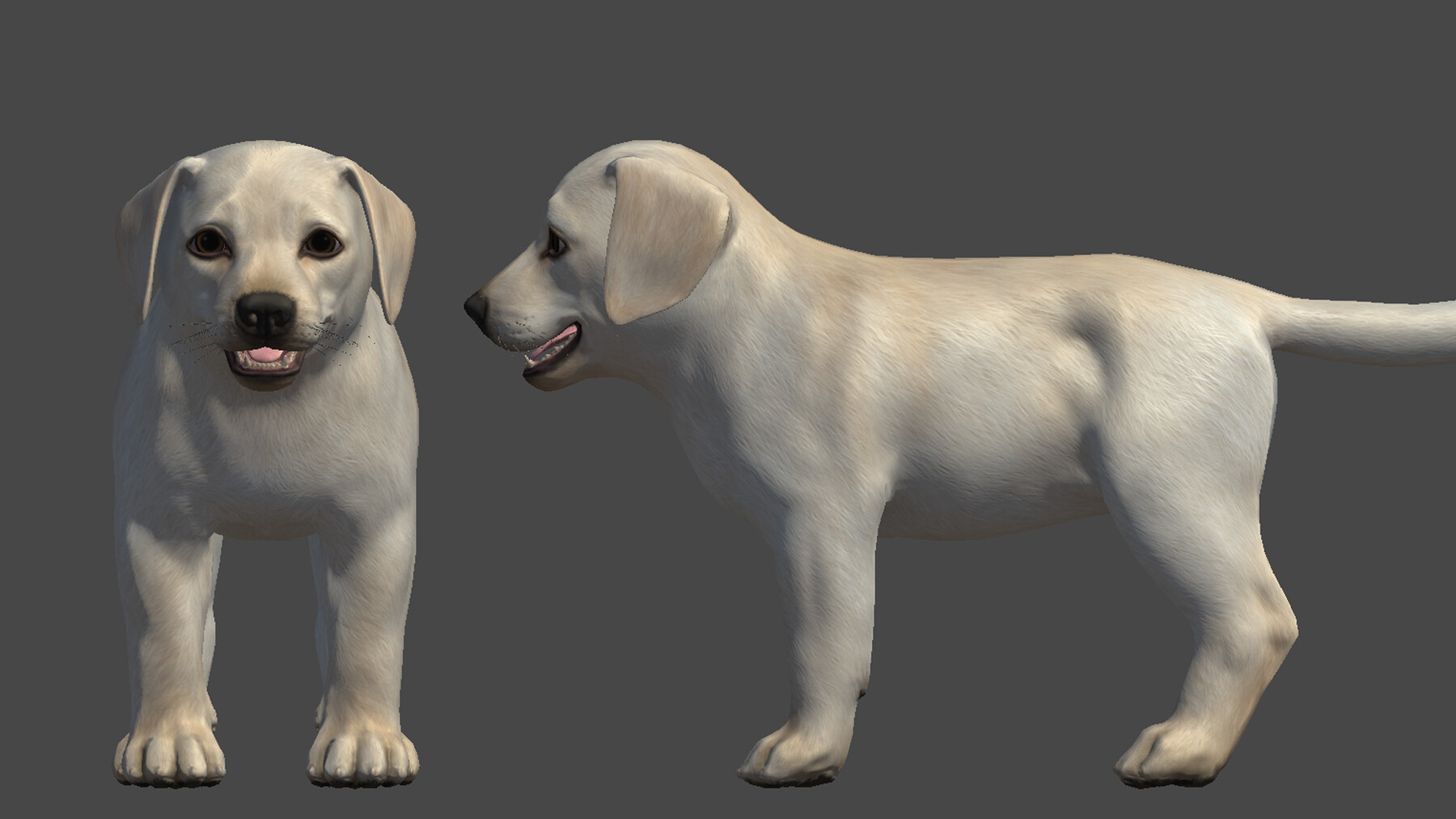 ArtStation - Puppy - Labrador | Game Assets