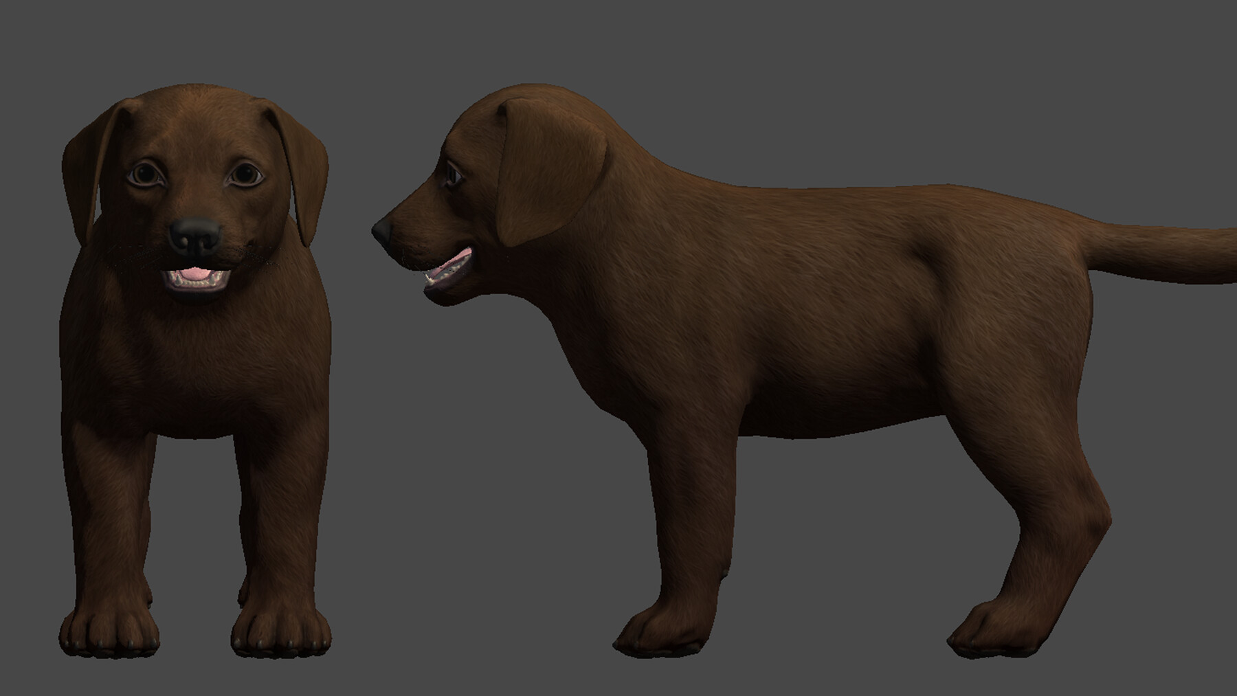 ArtStation - Puppy - Labrador | Game Assets