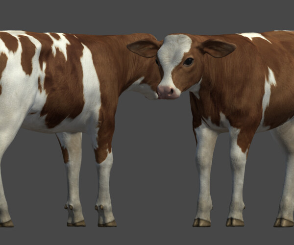 ArtStation - Calf realistic | Game Assets