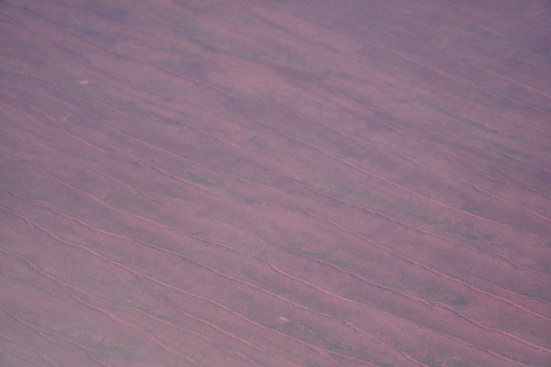 ArtStation - 103 photos of Aerial Red Arid Australian Desert | Resources