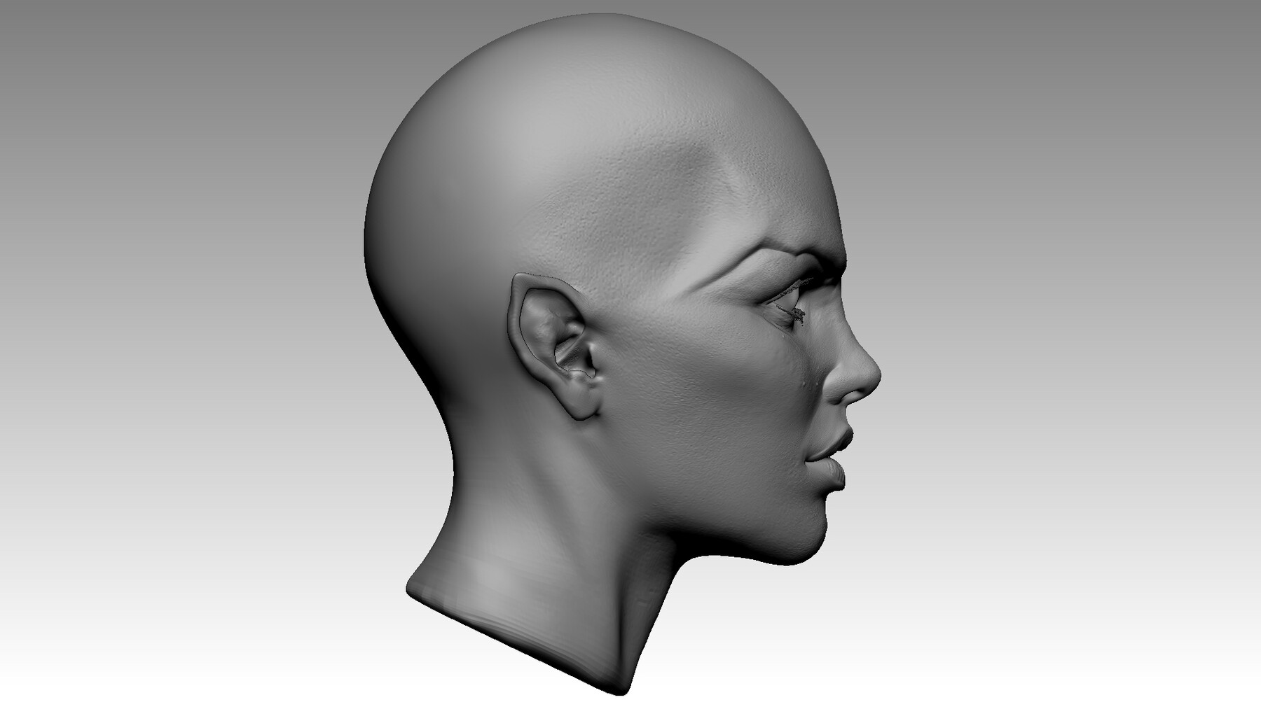 ArtStation - Stylized Female Elf Head V.1 | Resources