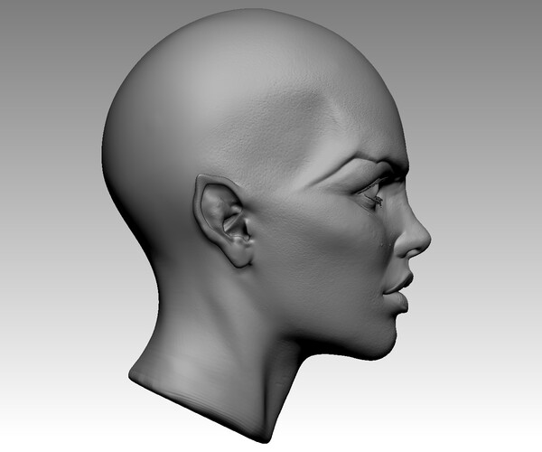 ArtStation - Stylized Female Elf Head V.1 | Resources