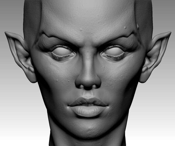 ArtStation - Stylized Female Elf Head V.1 | Resources