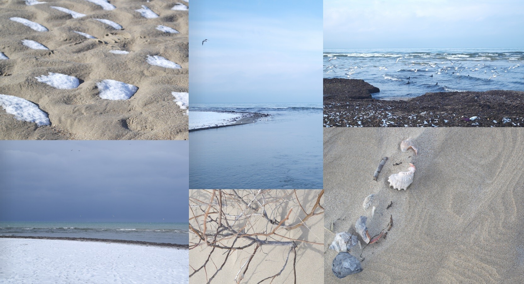 ArtStation - Sea Details vol.2 260+ Photo Reference Pictures | Resources