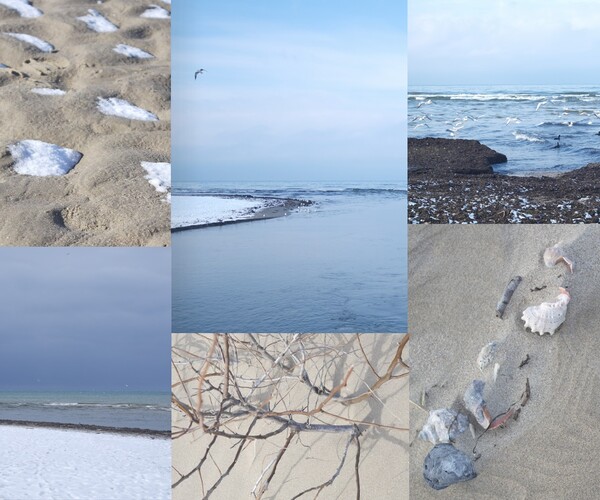 ArtStation - Sea Details vol.2 260+ Photo Reference Pictures | Resources