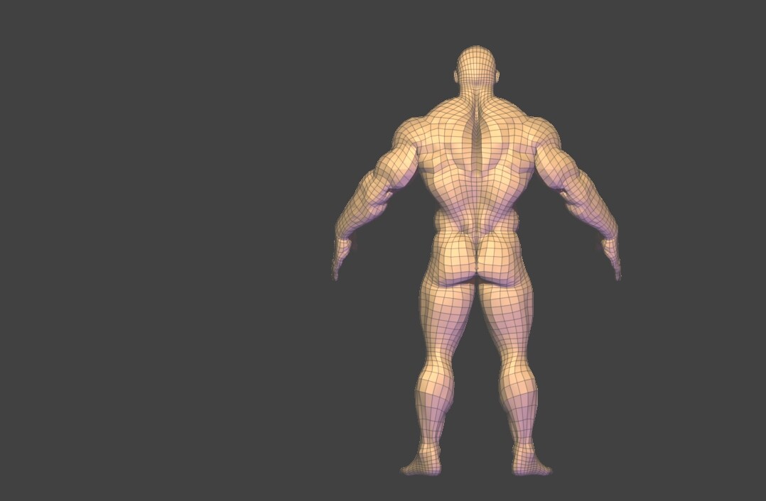ArtStation - bodybuilder base mesh | Resources