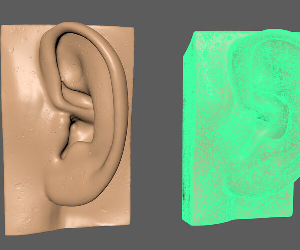 ArtStation - ear plaster cast | Resources