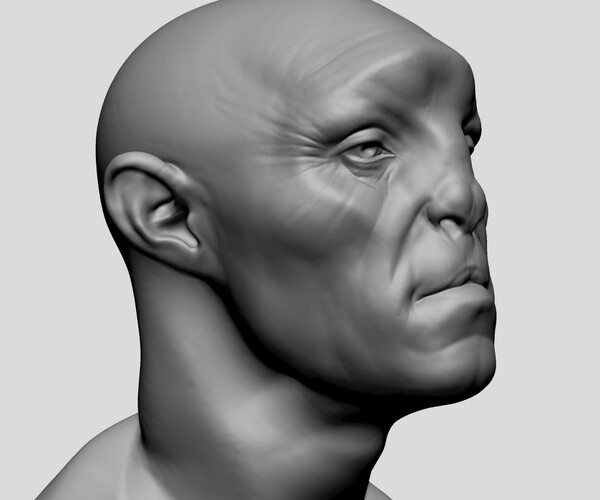 ArtStation - Free Creature Head Model | Resources