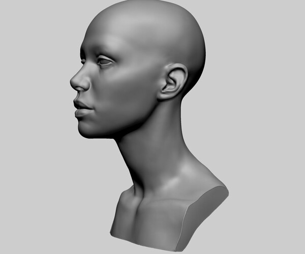 ArtStation - Female Head C | Resources