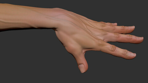 ArtStation - Skull | Resources