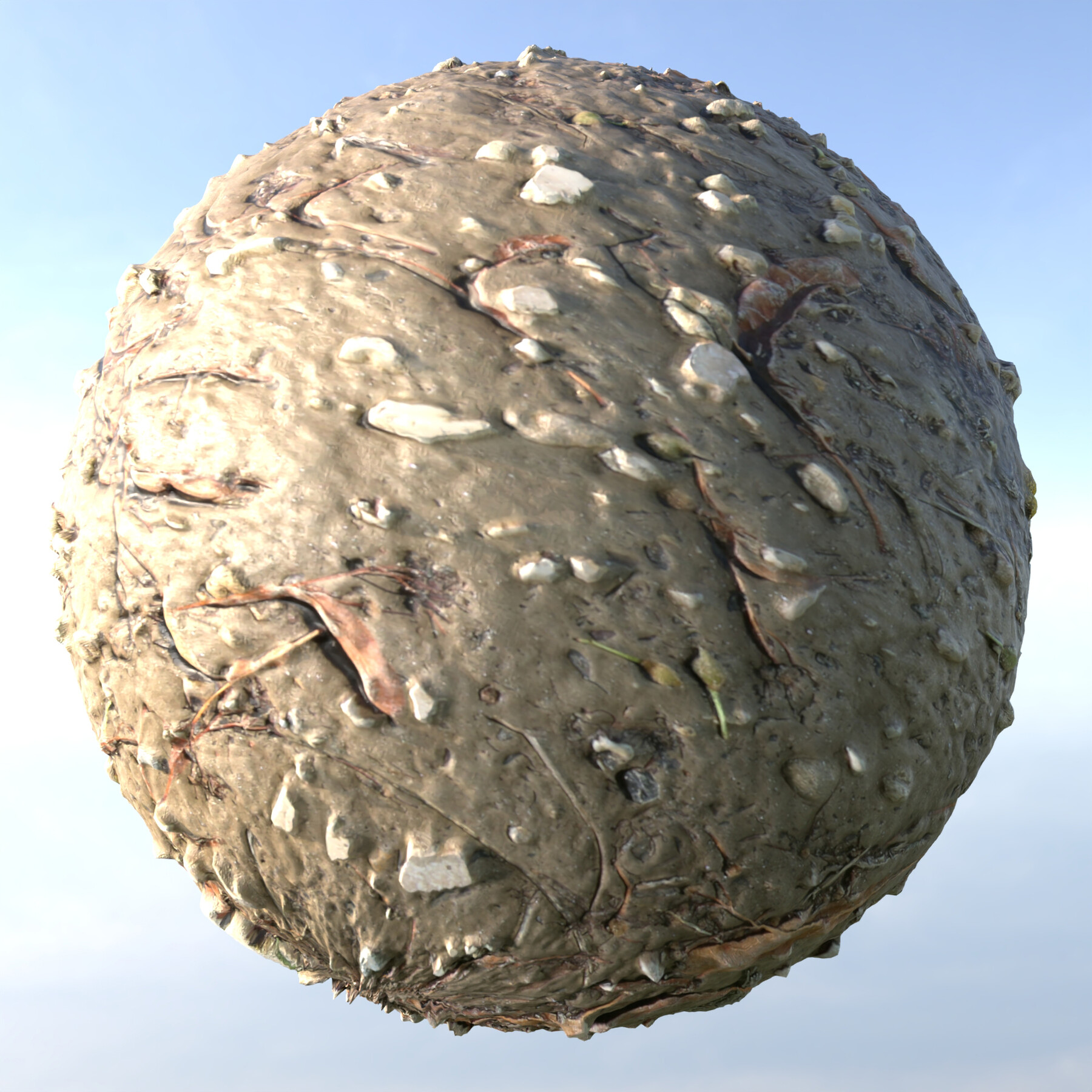 ArtStation - Mud Ground 1 PBR Material | Game Assets