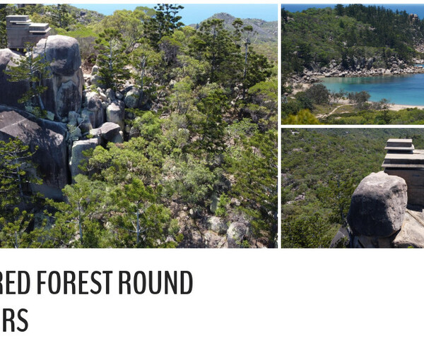 ArtStation - 128 photos of Scattered Forest Round Boulders | Resources