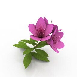 ArtStation - Resource-Interior-Exterior-Flower Tutuzi | Resources