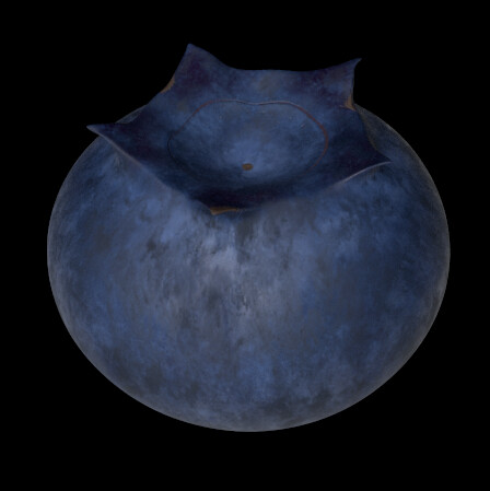 ArtStation - Blueberry 3D model | Resources
