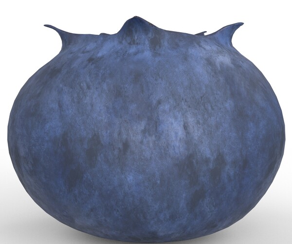ArtStation - Blueberry 3D model | Resources