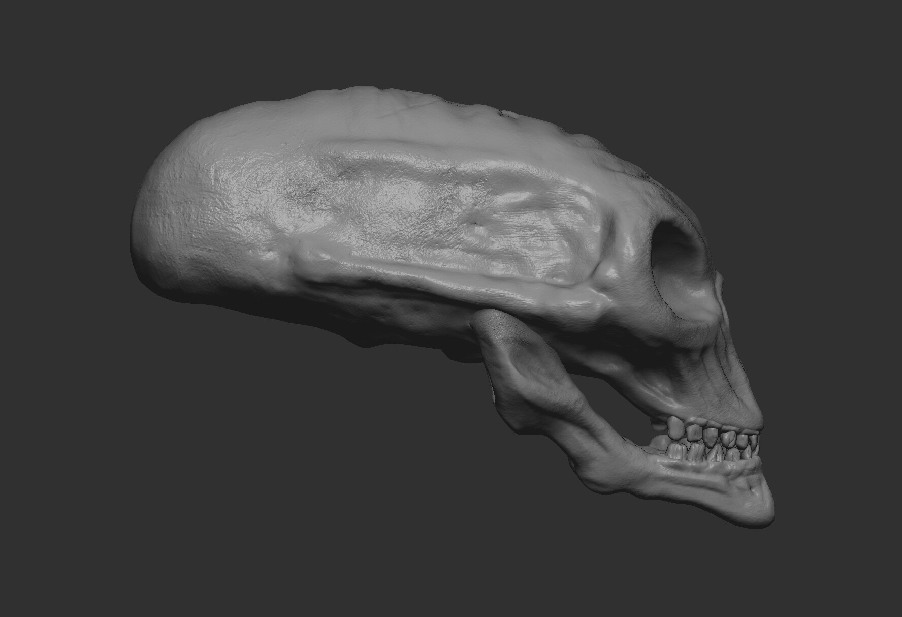 ArtStation - Alien Skull 3D print | Resources