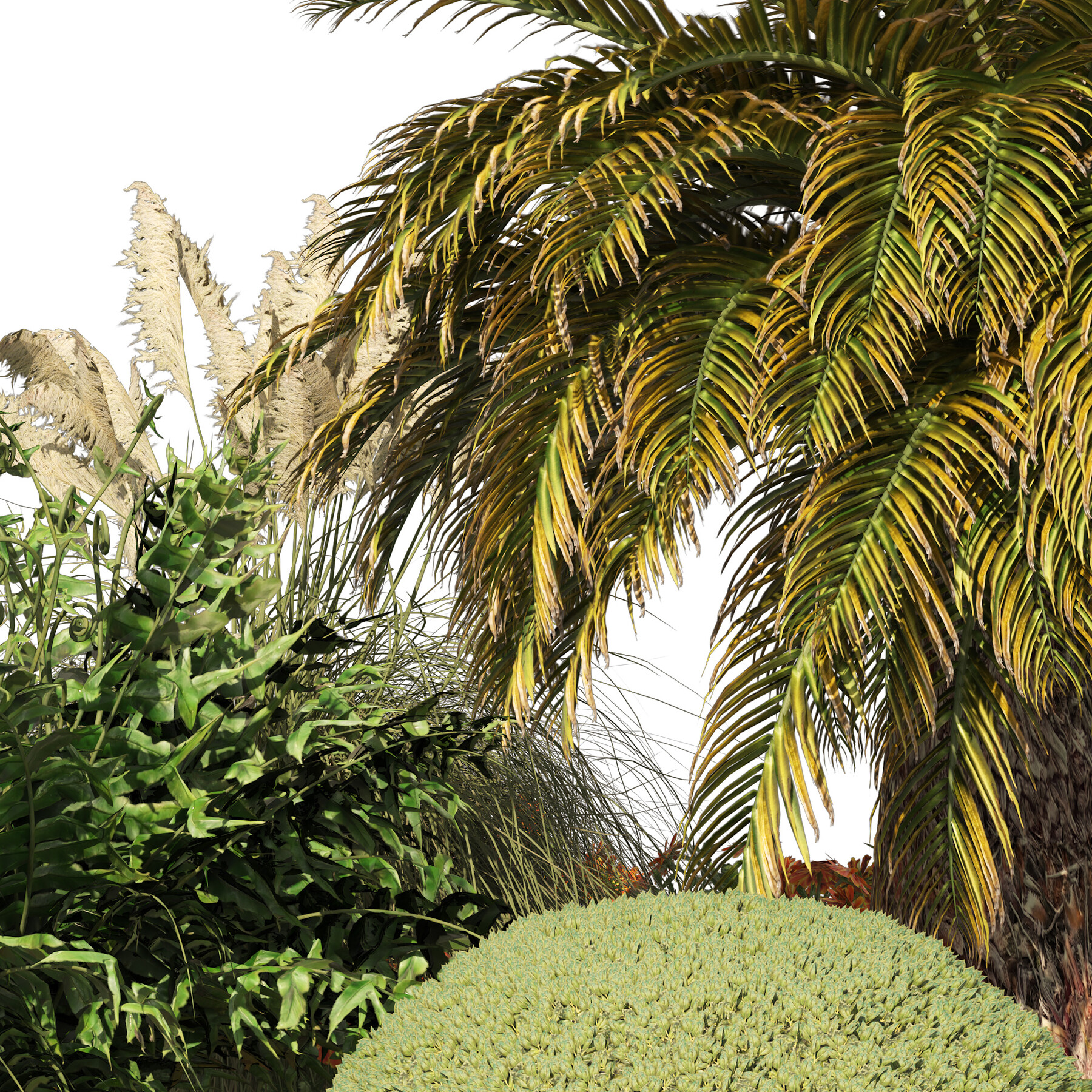 ArtStation - Outdoor Garden Set, Palm Tree, Bush & flowers | Resources