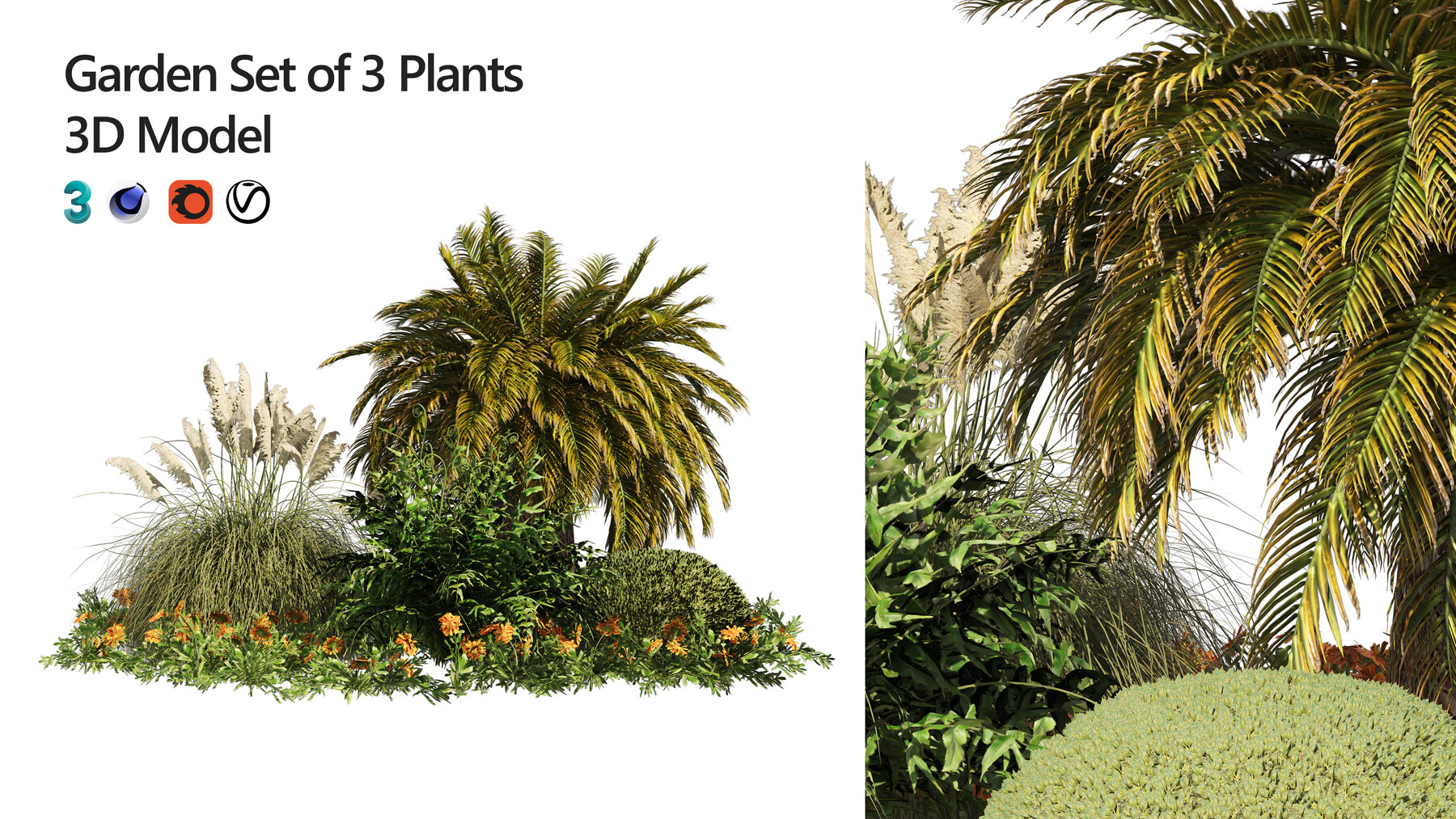 ArtStation - Outdoor Garden Set, Palm Tree, Bush & flowers | Resources