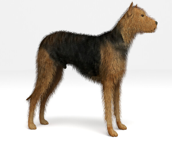 ArtStation - Street Dog | Resources